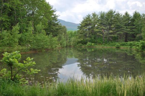Ultimate List of Things To Do in the Catskill Mountains